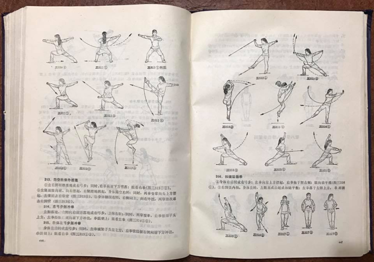 CHA QUAN - Escuela LONGHUQUAN Kung Fu & TaiJiquan
